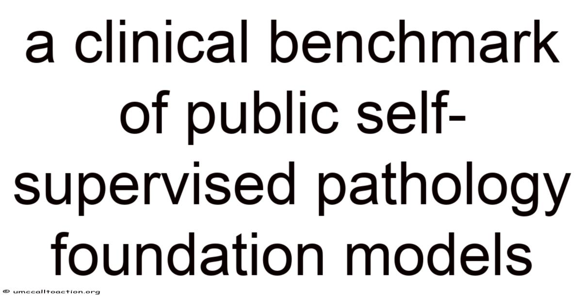 A Clinical Benchmark Of Public Self-supervised Pathology Foundation Models