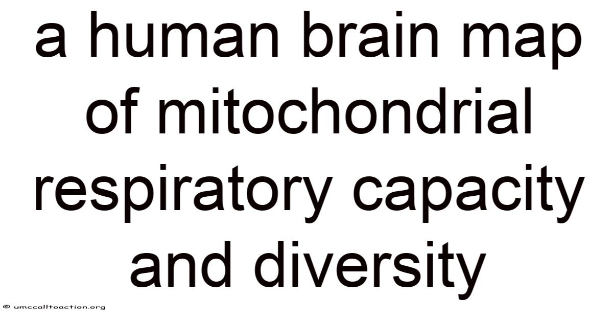 A Human Brain Map Of Mitochondrial Respiratory Capacity And Diversity