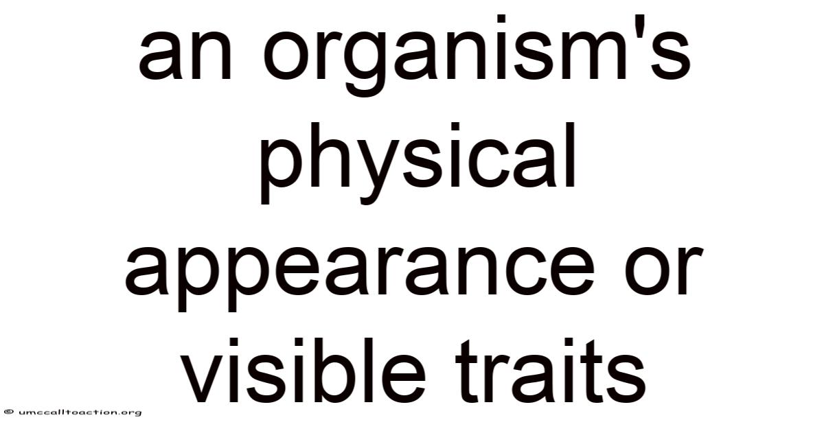 An Organism's Physical Appearance Or Visible Traits