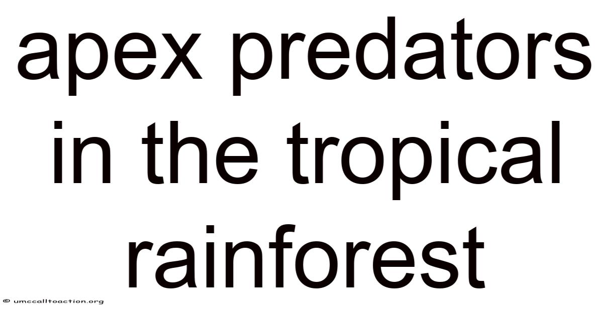 Apex Predators In The Tropical Rainforest