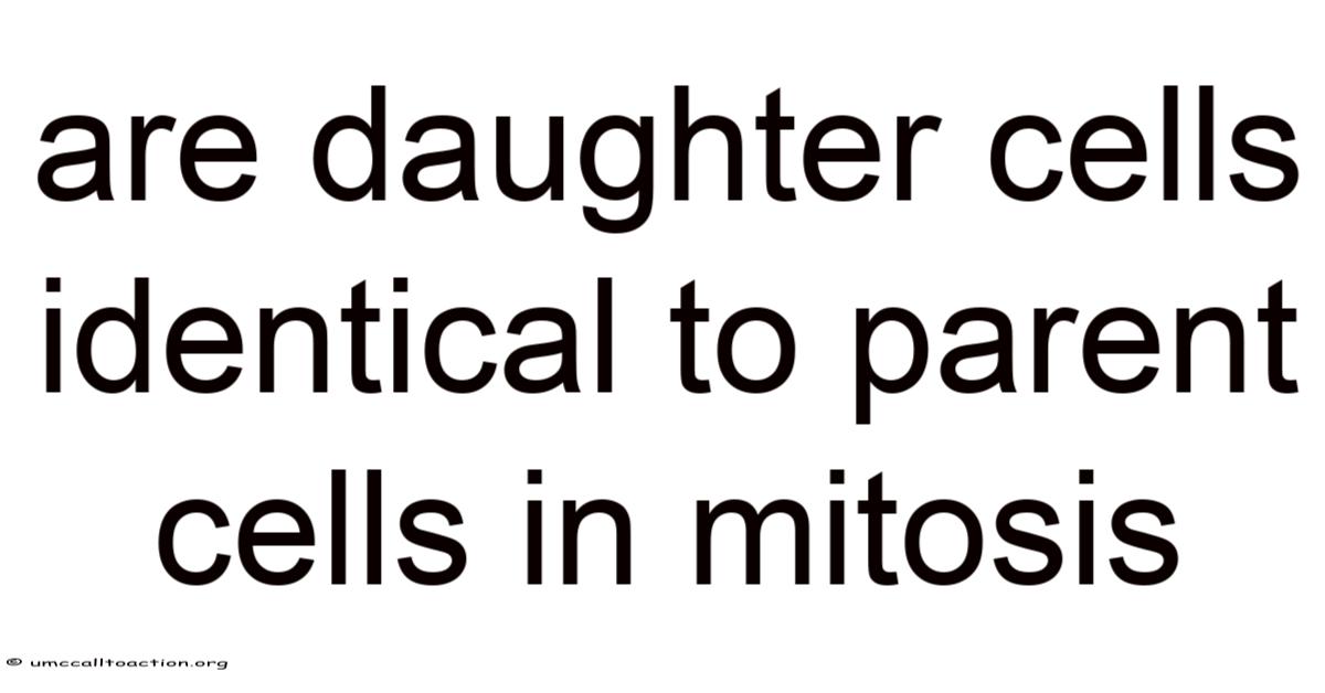 Are Daughter Cells Identical To Parent Cells In Mitosis