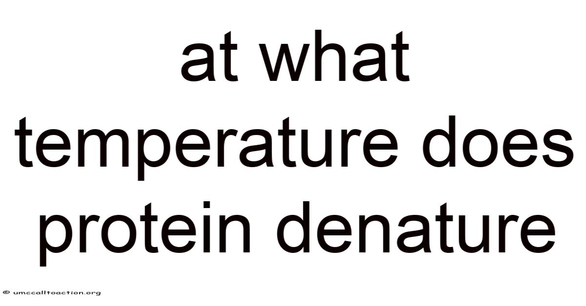 At What Temperature Does Protein Denature