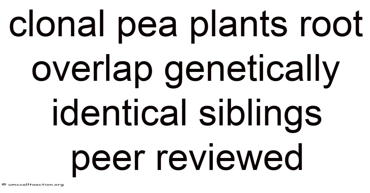 Clonal Pea Plants Root Overlap Genetically Identical Siblings Peer Reviewed