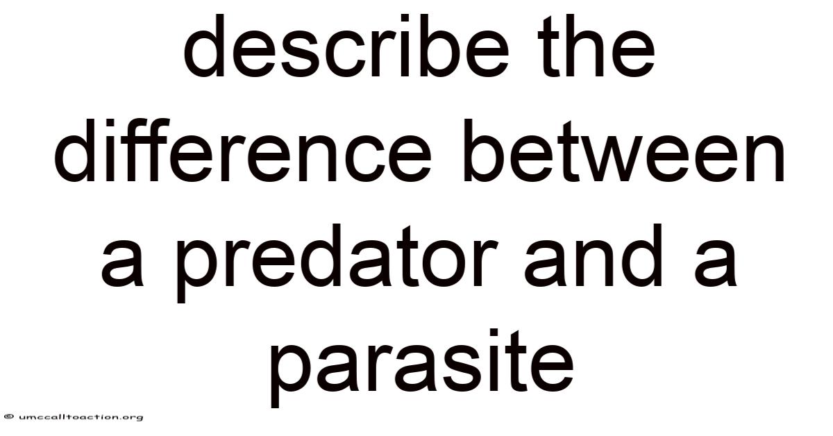 Describe The Difference Between A Predator And A Parasite