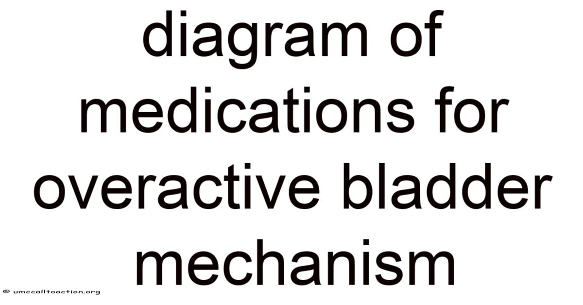 Diagram Of Medications For Overactive Bladder Mechanism