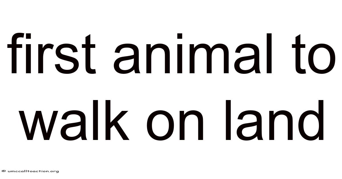 First Animal To Walk On Land