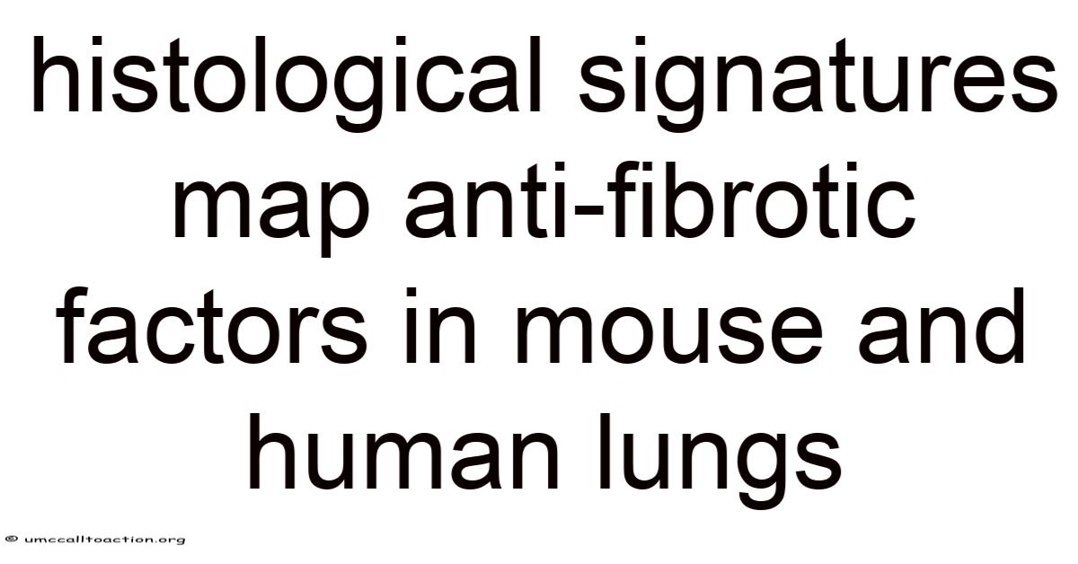 Histological Signatures Map Anti-fibrotic Factors In Mouse And Human Lungs