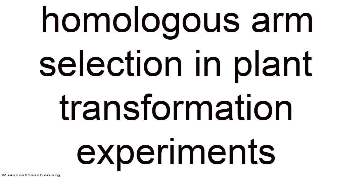 Homologous Arm Selection In Plant Transformation Experiments