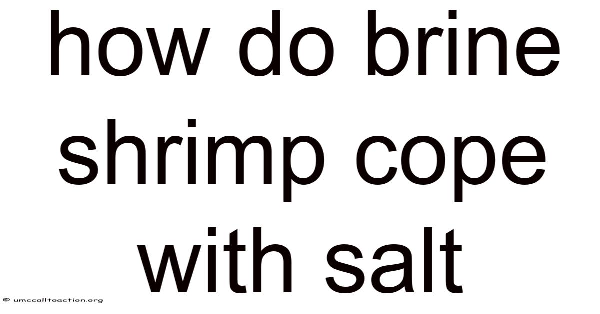 How Do Brine Shrimp Cope With Salt