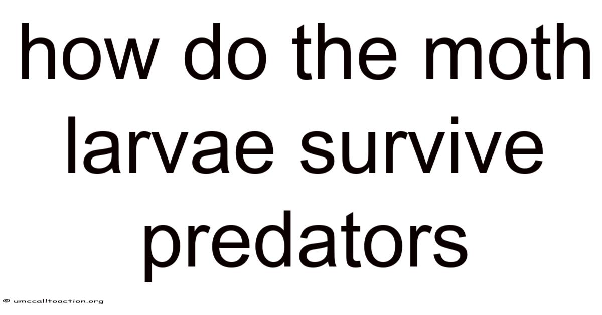 How Do The Moth Larvae Survive Predators