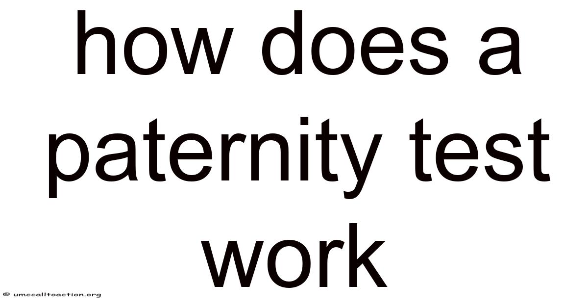 How Does A Paternity Test Work