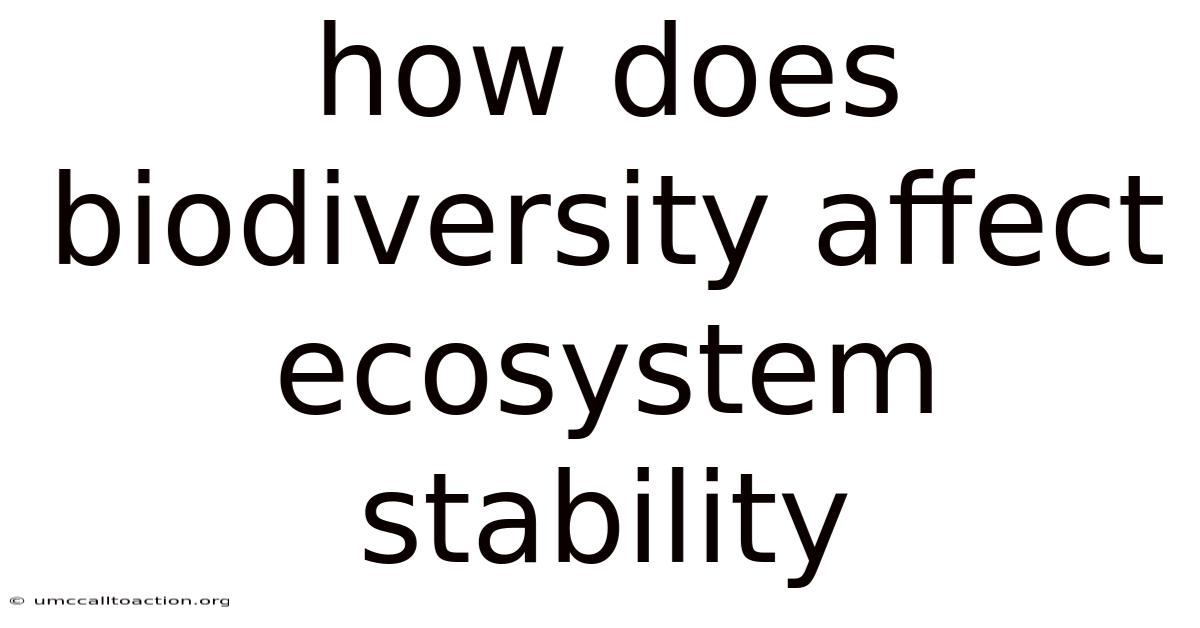 How Does Biodiversity Affect Ecosystem Stability