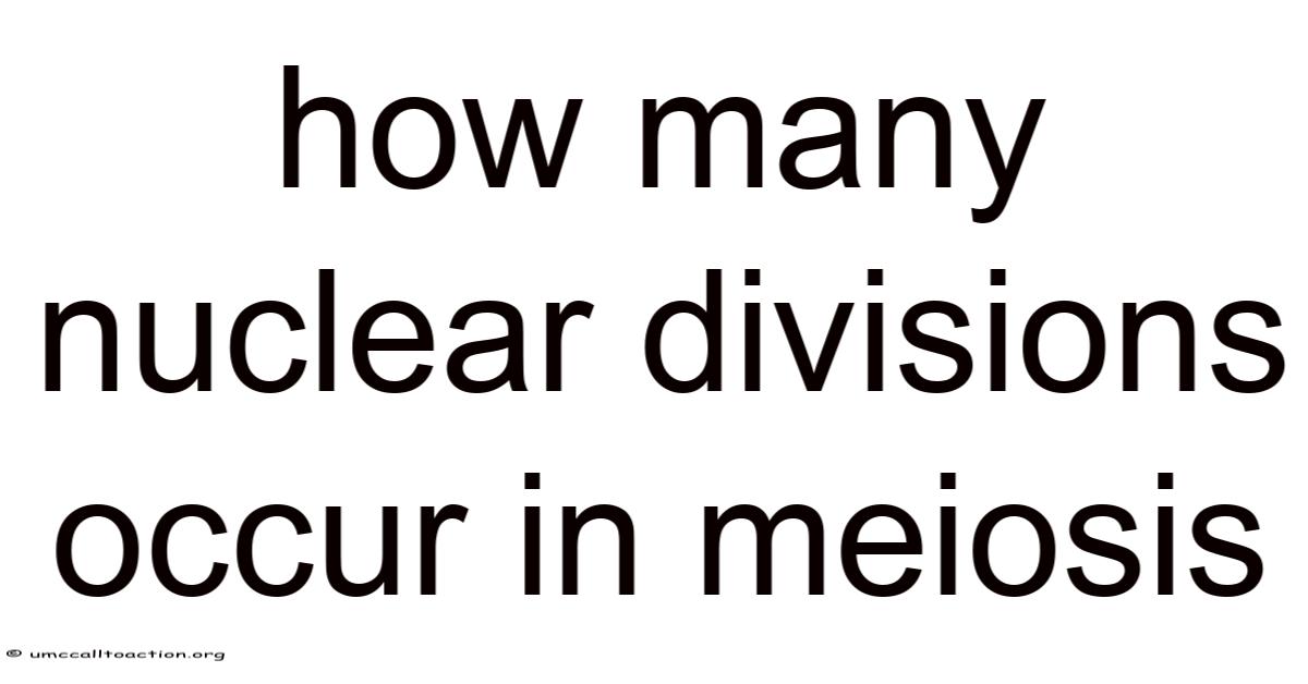 How Many Nuclear Divisions Occur In Meiosis