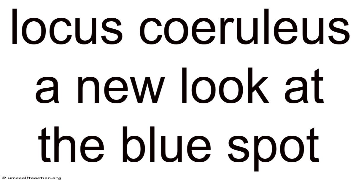 Locus Coeruleus A New Look At The Blue Spot