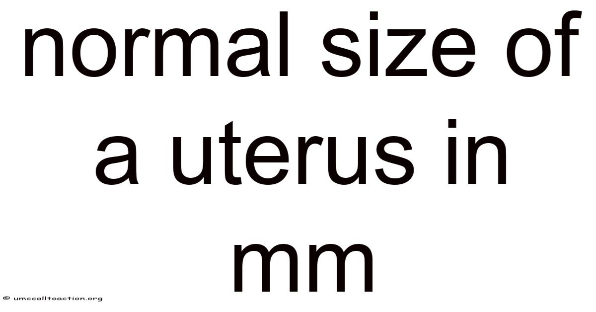 Normal Size Of A Uterus In Mm