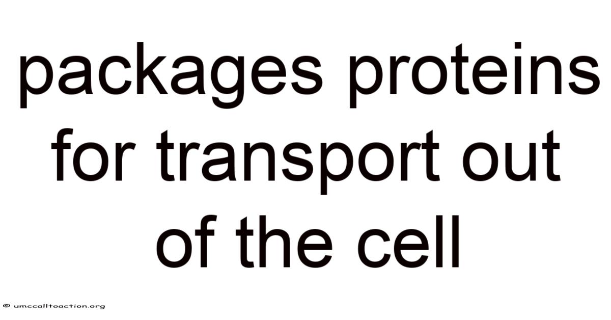 Packages Proteins For Transport Out Of The Cell