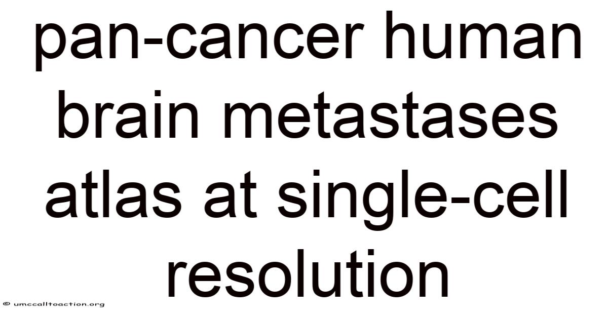 Pan-cancer Human Brain Metastases Atlas At Single-cell Resolution