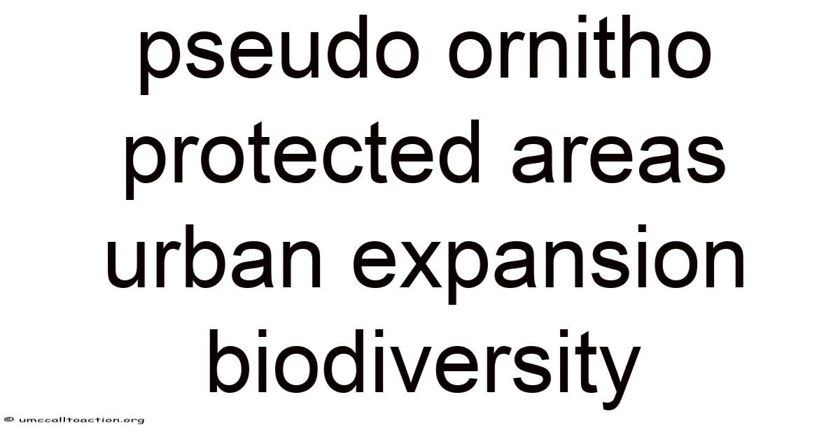 Pseudo Ornitho Protected Areas Urban Expansion Biodiversity