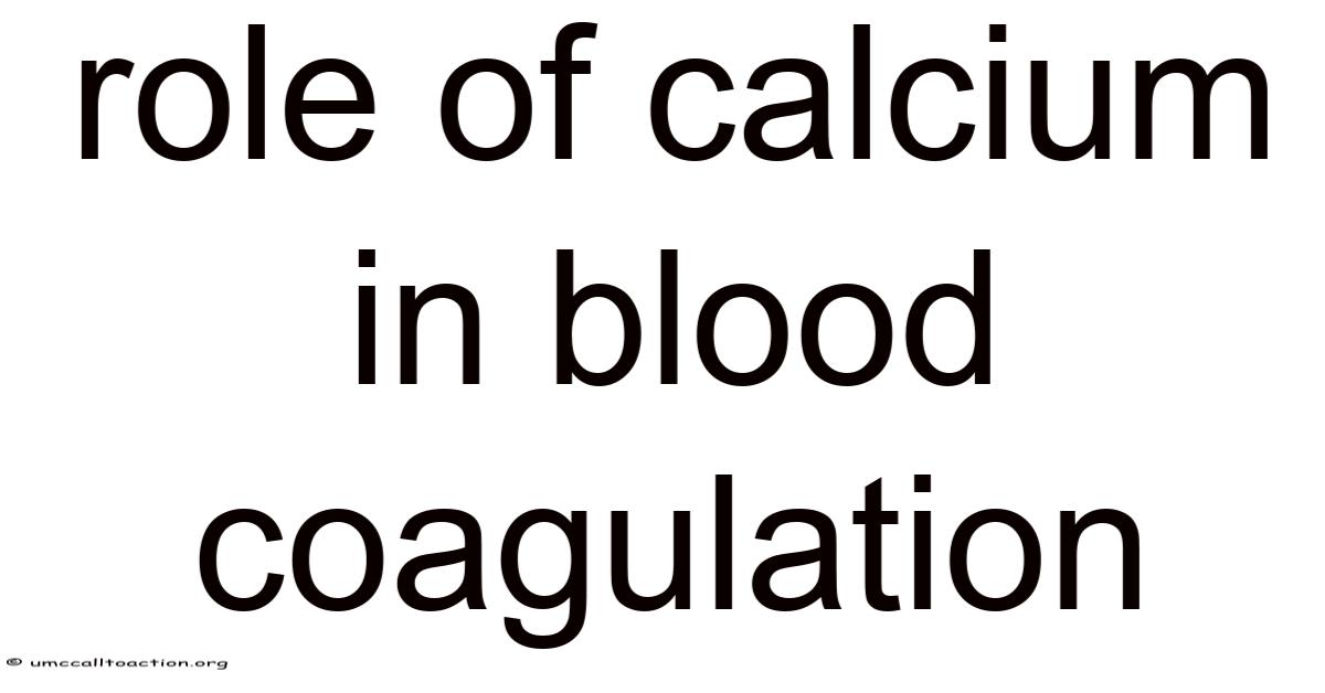 Role Of Calcium In Blood Coagulation