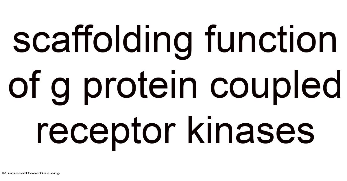 Scaffolding Function Of G Protein Coupled Receptor Kinases