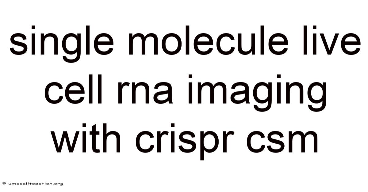 Single Molecule Live Cell Rna Imaging With Crispr Csm