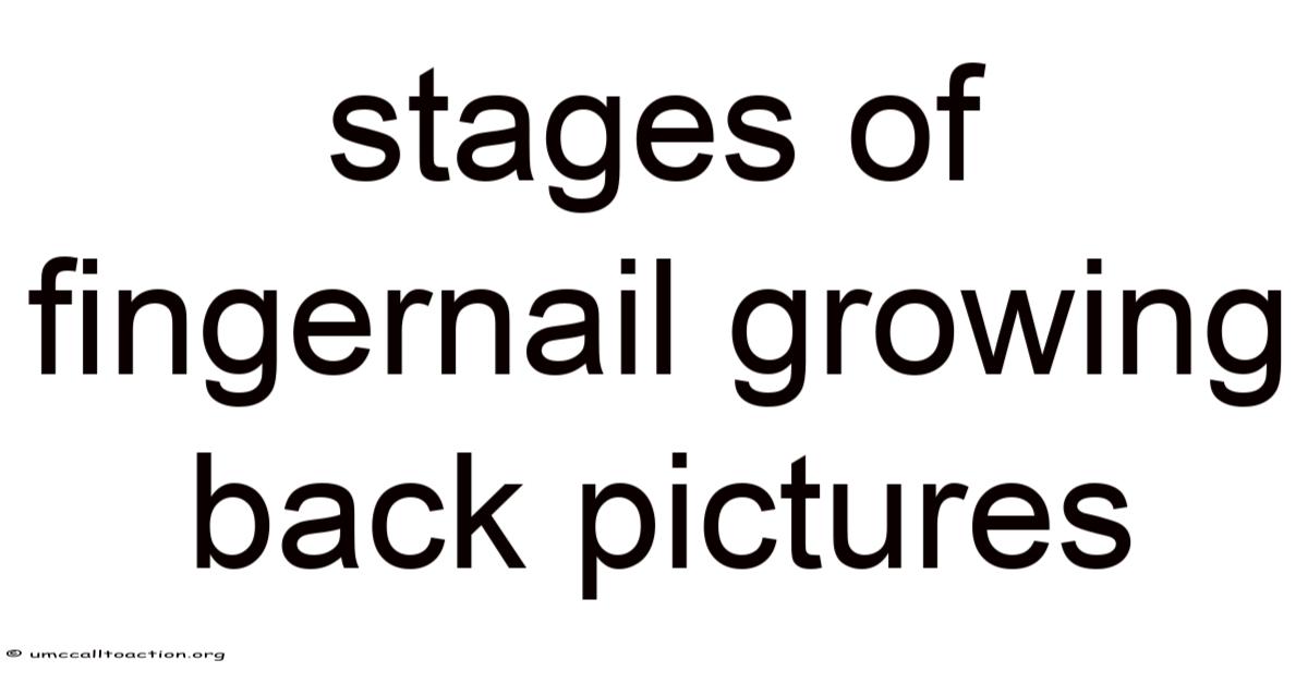 Stages Of Fingernail Growing Back Pictures