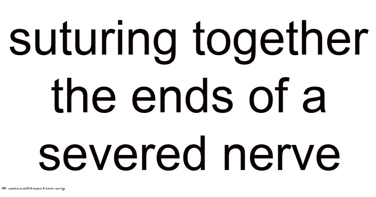 Suturing Together The Ends Of A Severed Nerve