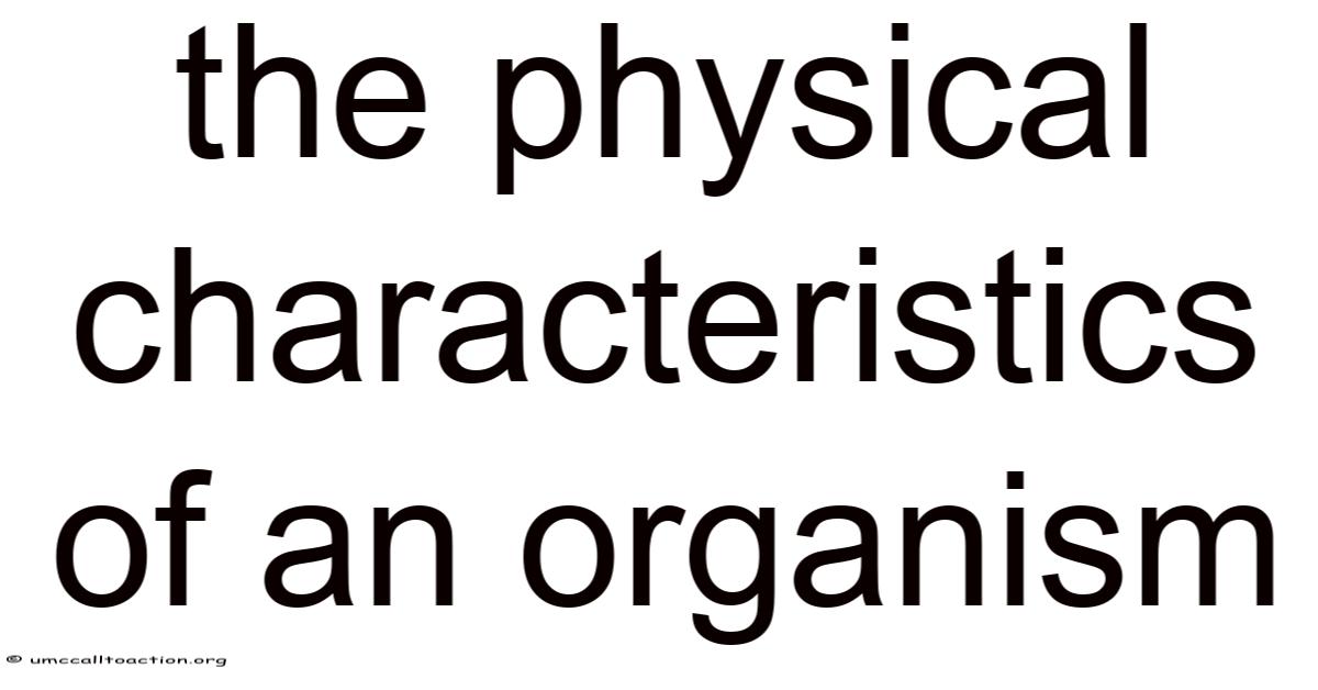 The Physical Characteristics Of An Organism