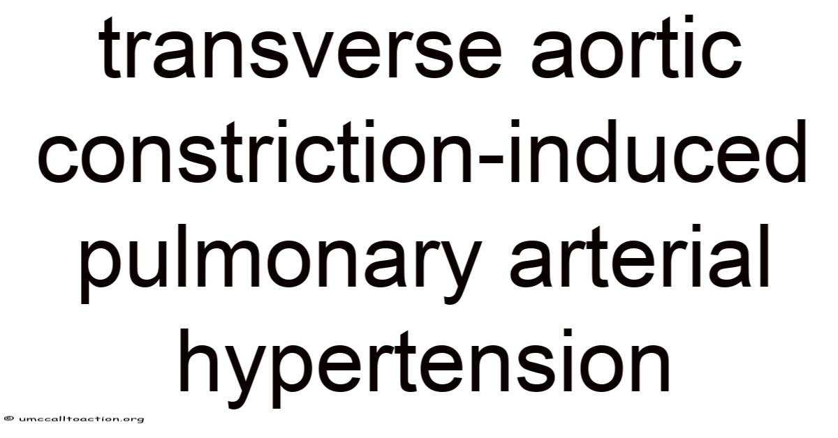 Transverse Aortic Constriction-induced Pulmonary Arterial Hypertension