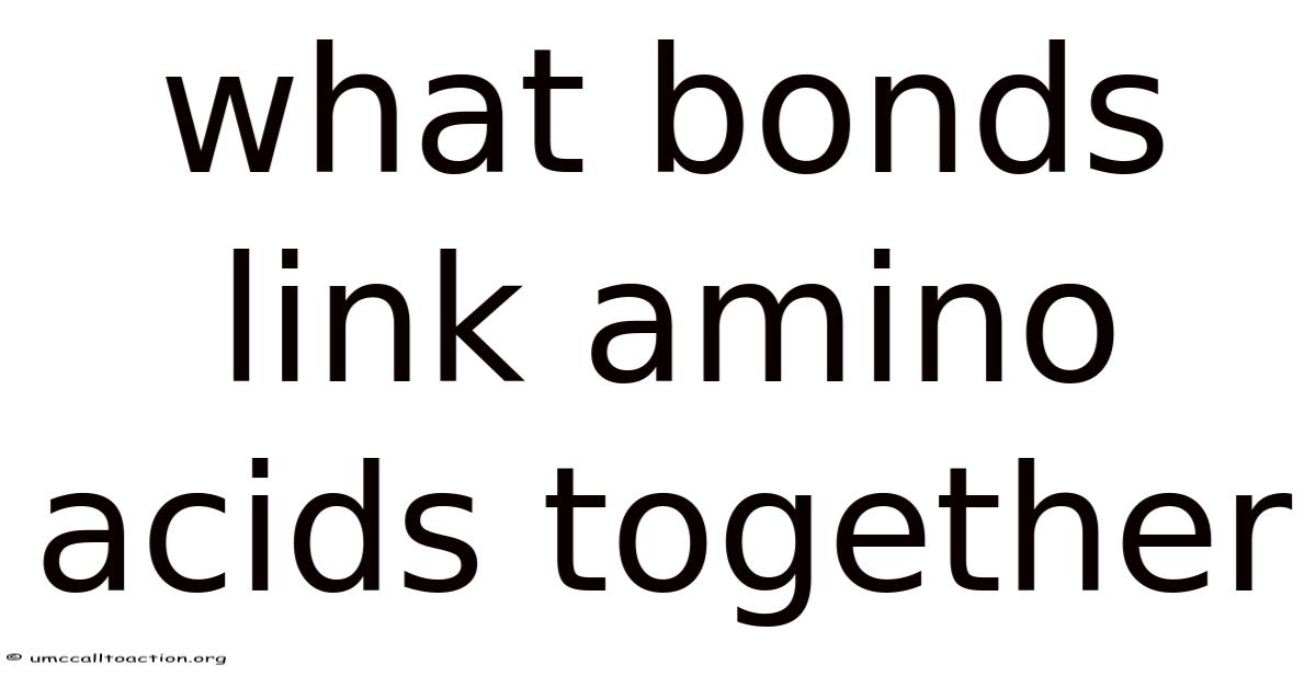 What Bonds Link Amino Acids Together