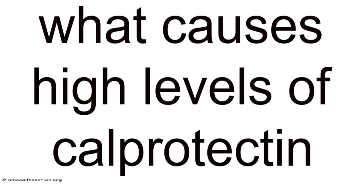 What Causes High Levels Of Calprotectin
