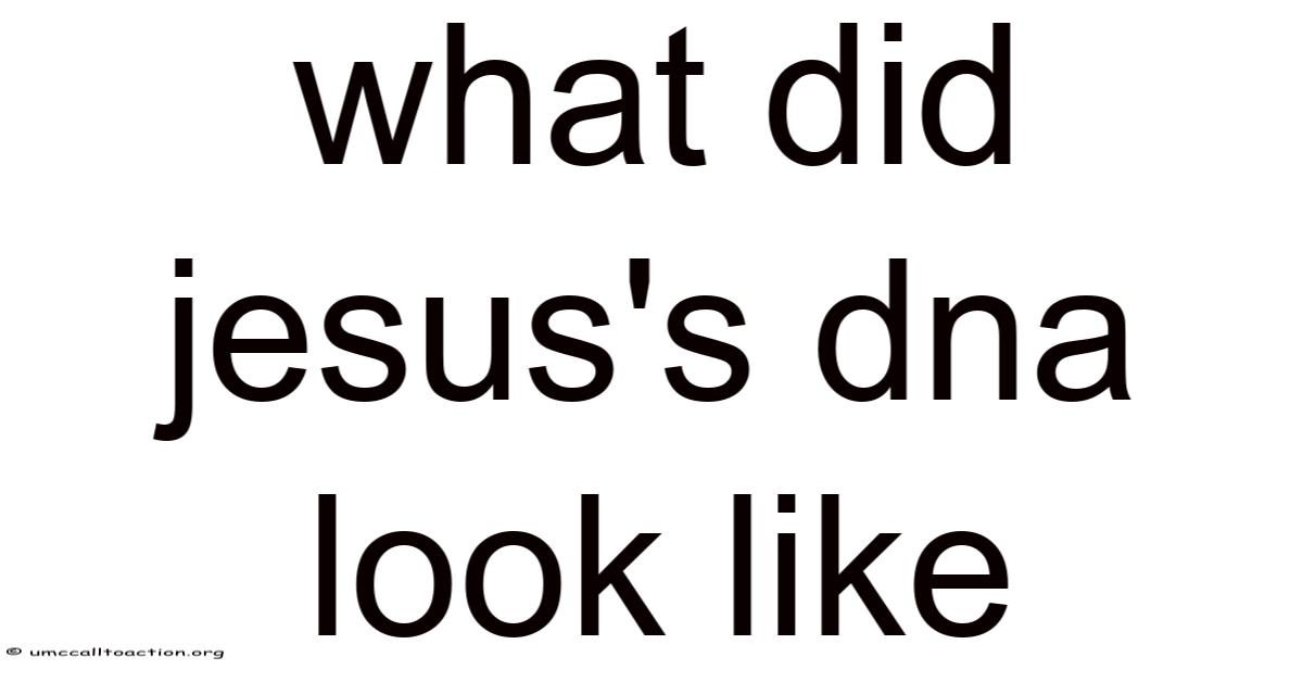 What Did Jesus's Dna Look Like