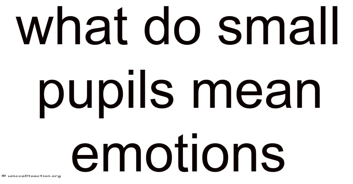 What Do Small Pupils Mean Emotions