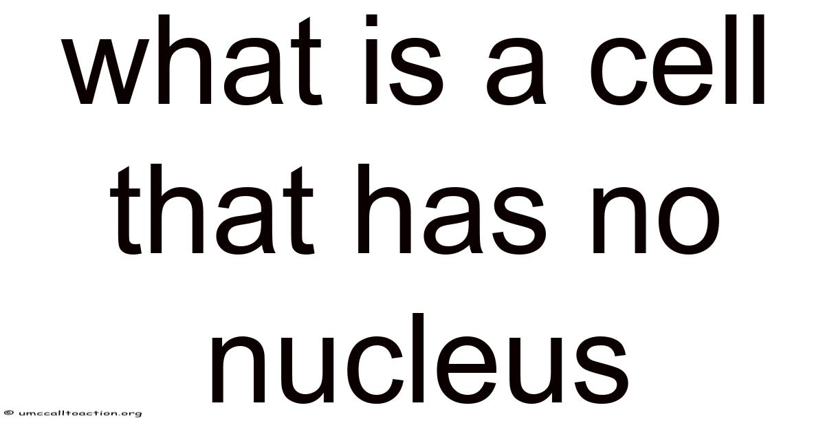What Is A Cell That Has No Nucleus