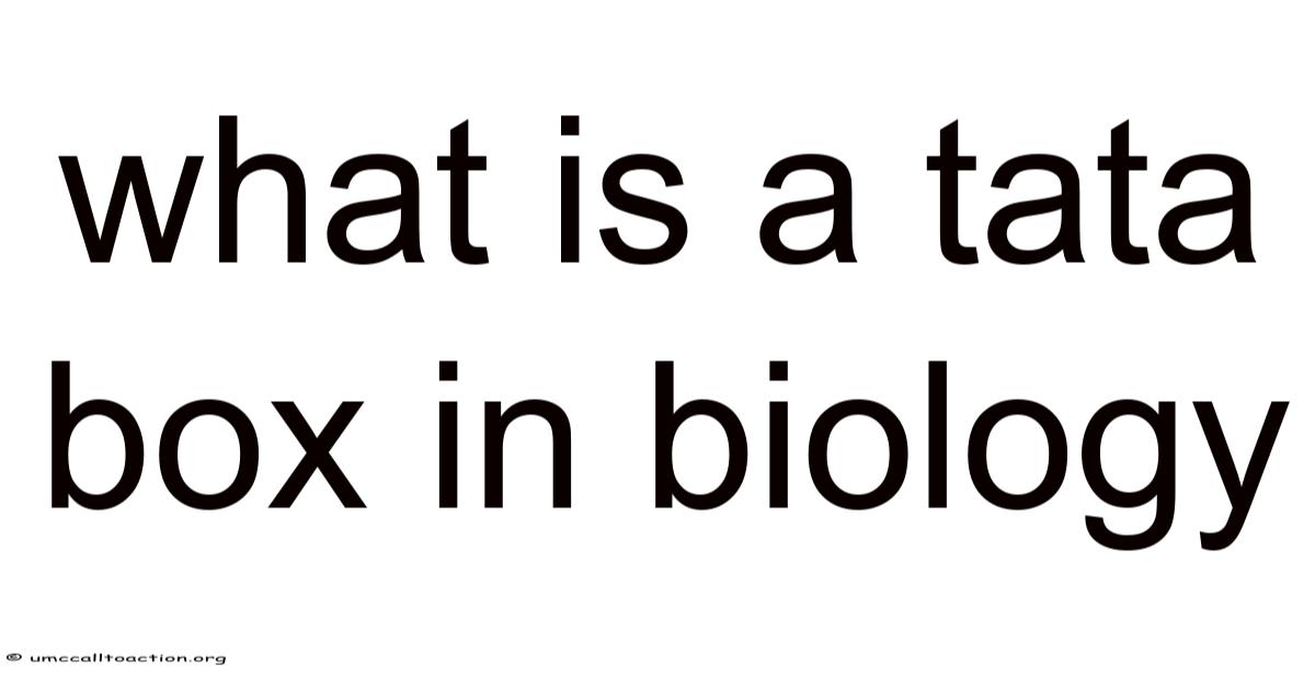 What Is A Tata Box In Biology