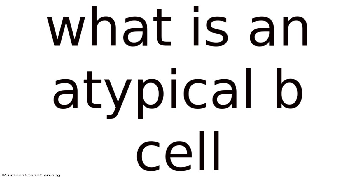 What Is An Atypical B Cell