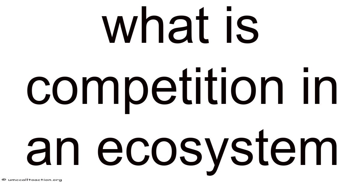 What Is Competition In An Ecosystem