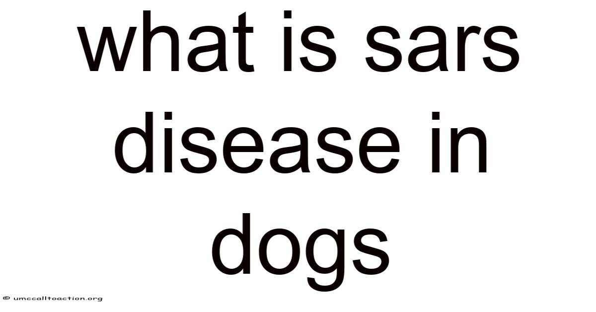 What Is Sars Disease In Dogs