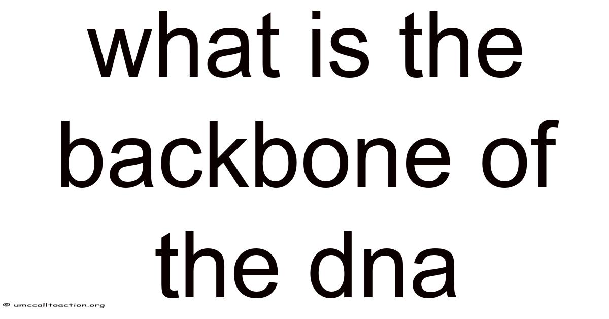 What Is The Backbone Of The Dna