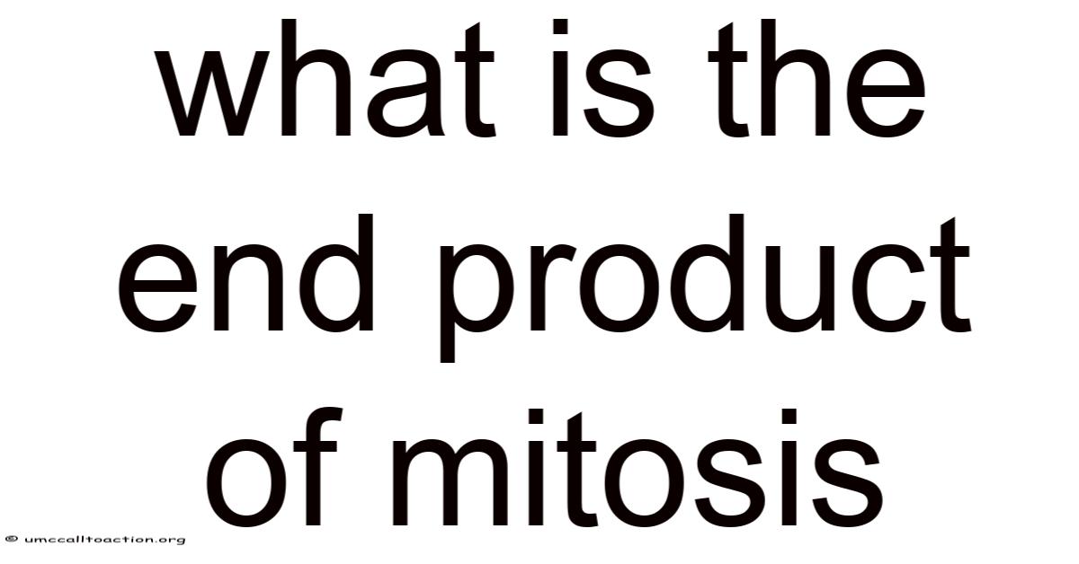 What Is The End Product Of Mitosis