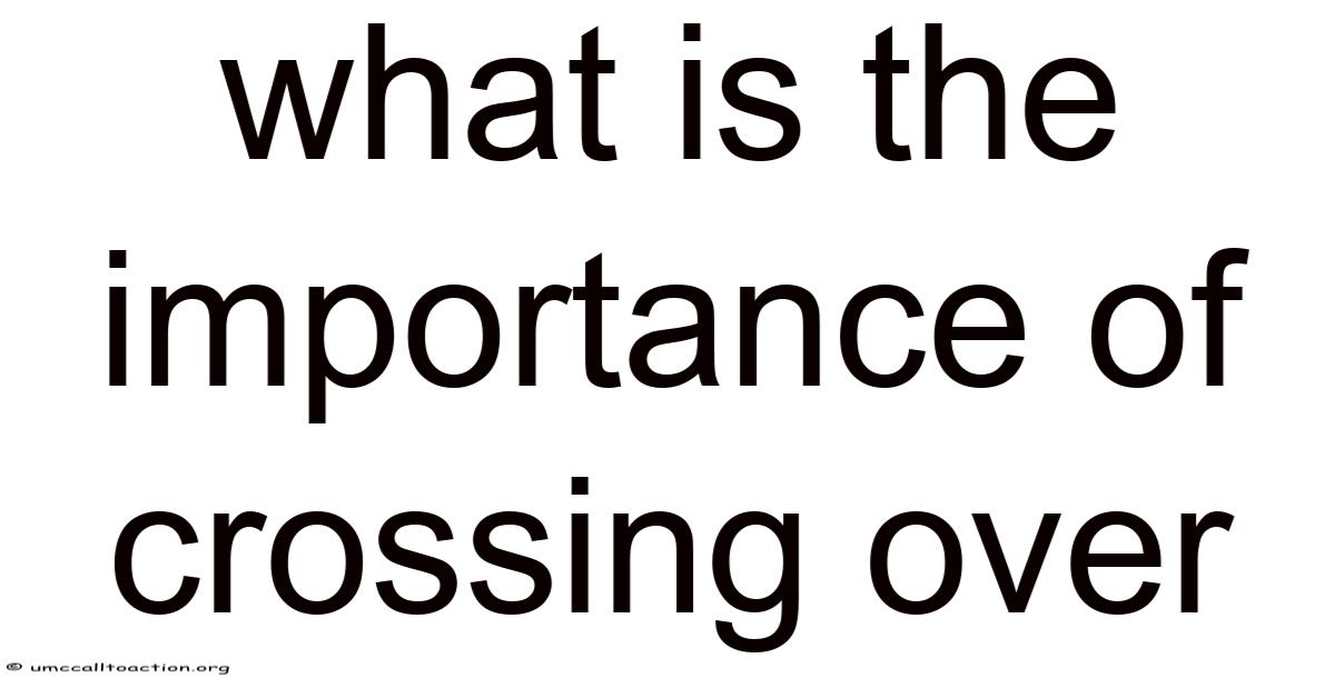 What Is The Importance Of Crossing Over