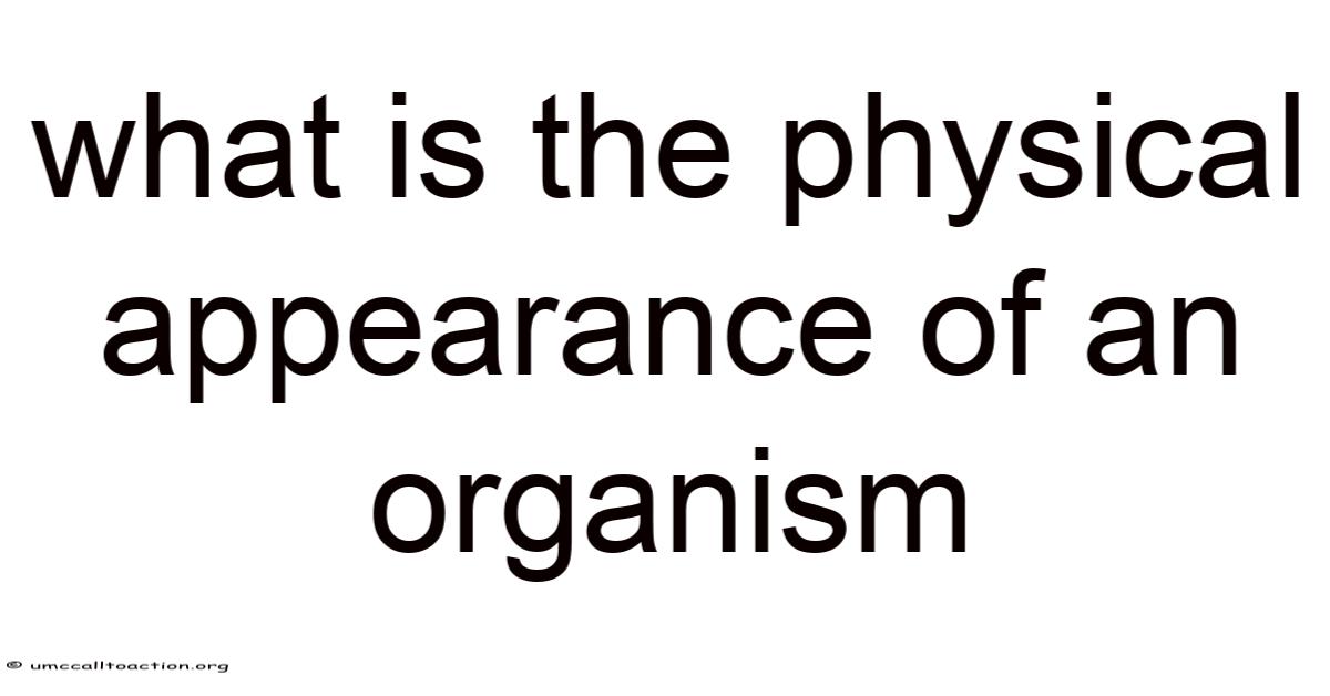 What Is The Physical Appearance Of An Organism