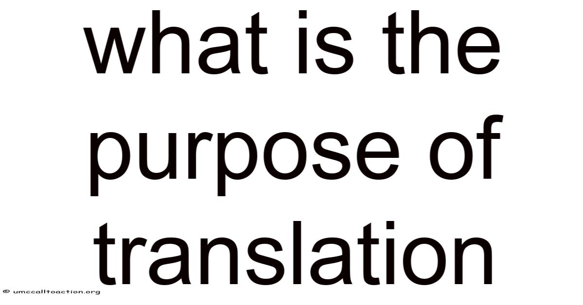 What Is The Purpose Of Translation