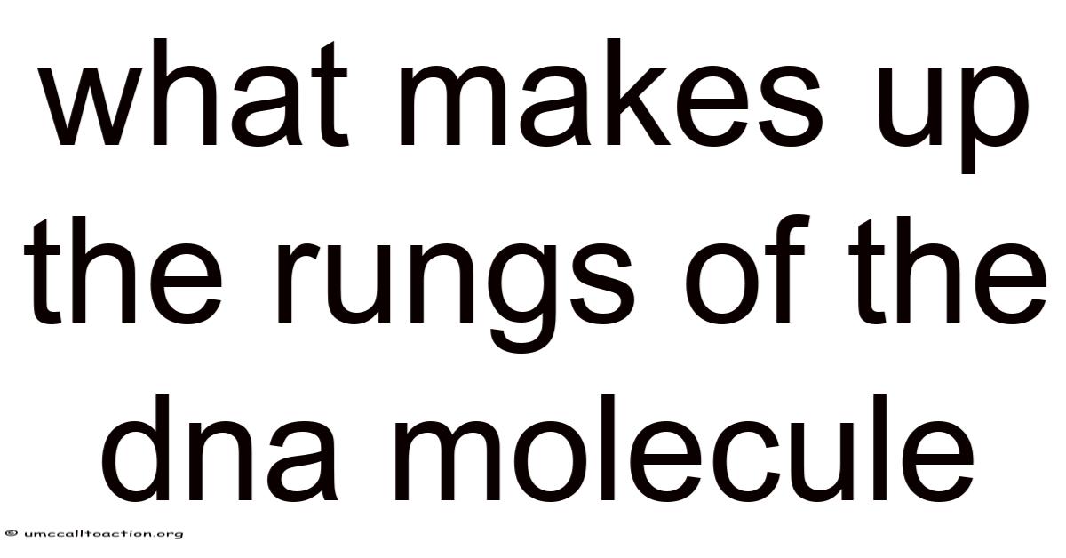 What Makes Up The Rungs Of The Dna Molecule