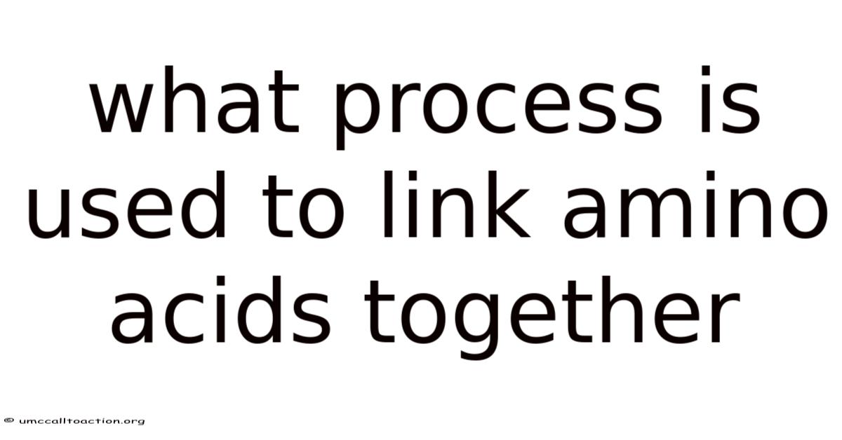 What Process Is Used To Link Amino Acids Together
