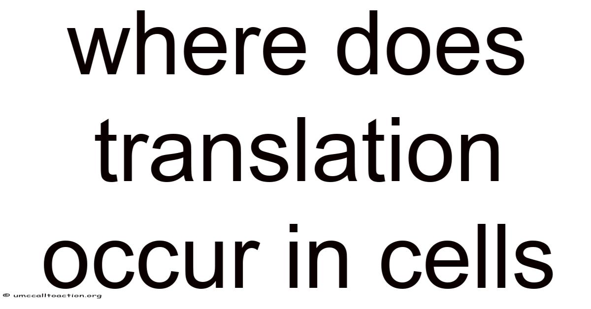 Where Does Translation Occur In Cells