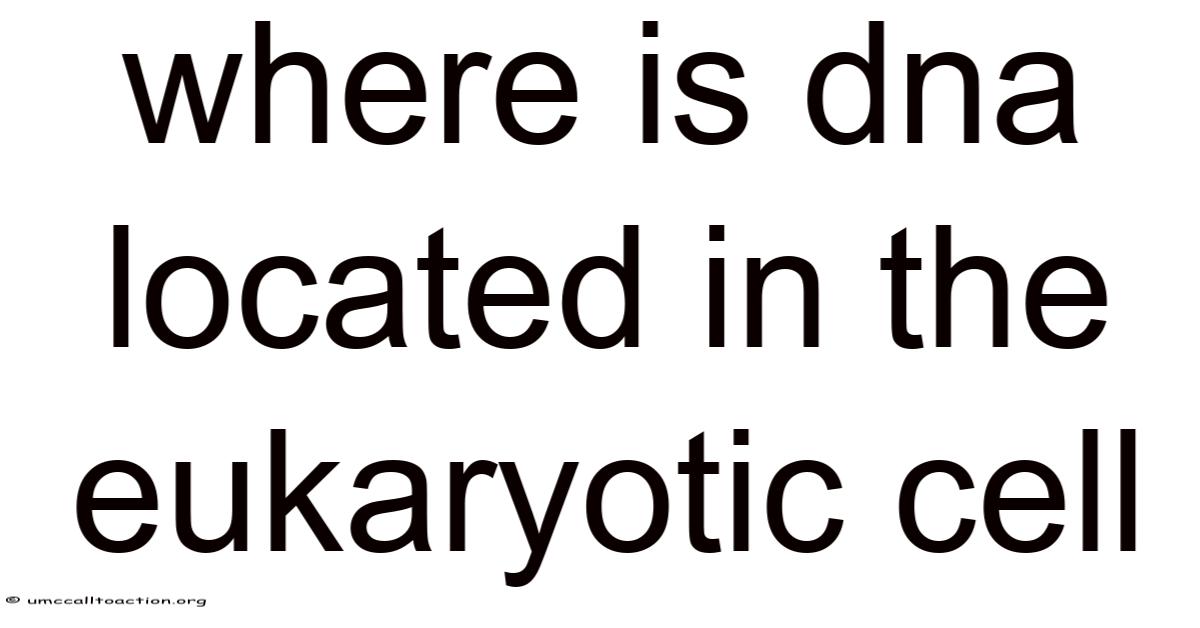 Where Is Dna Located In The Eukaryotic Cell