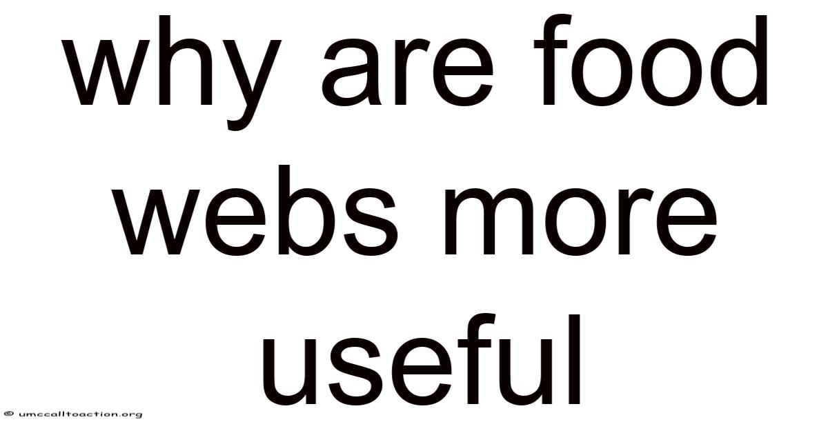 Why Are Food Webs More Useful