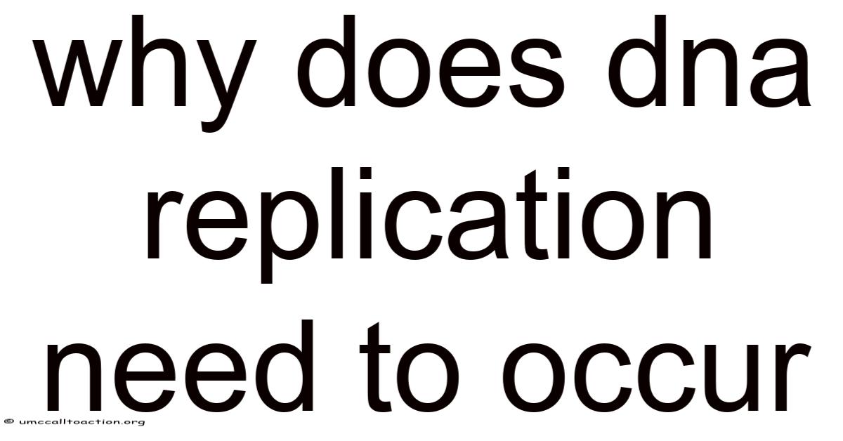 Why Does Dna Replication Need To Occur