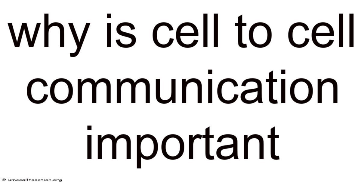 Why Is Cell To Cell Communication Important
